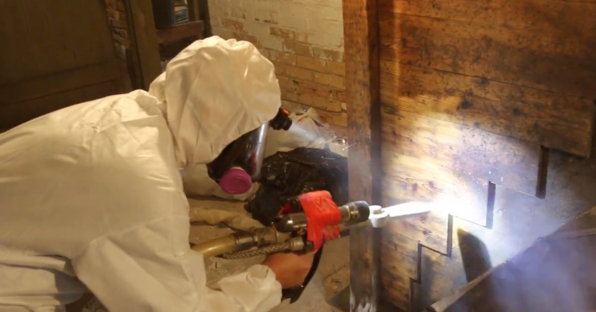 The Difference Between Mold Remediation and Mold Treatment | MoldPro LLC
